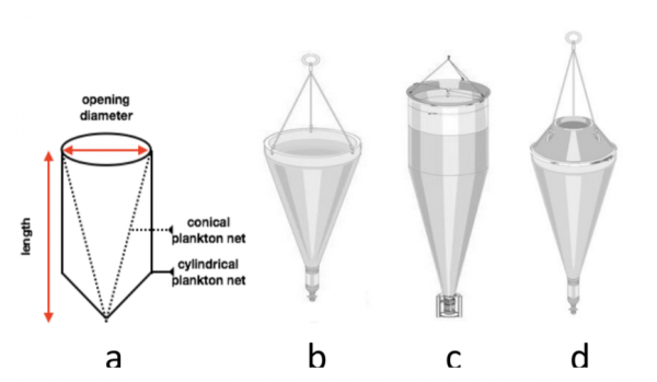 Zooplankton - Mesocosm